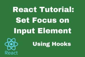 How to Set Focus on an Input Element in React using Hooks – How to ...